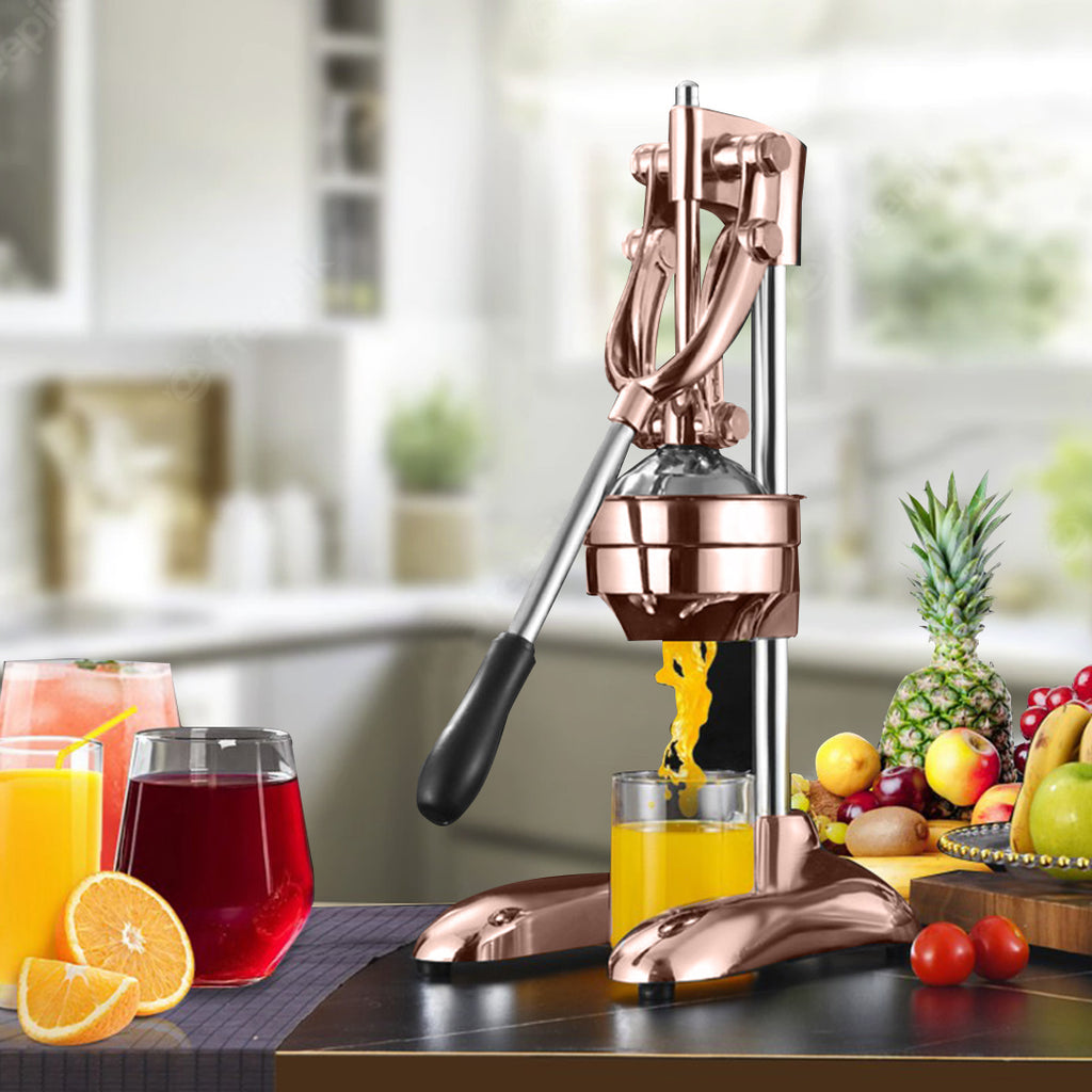 SOGA Stainless Steel Manual Juicer Hand Press Juice Extractor Squeezer ...